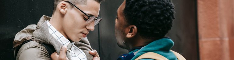 Civil Anti-Harassment Protection Order | Feldman & Lee PS